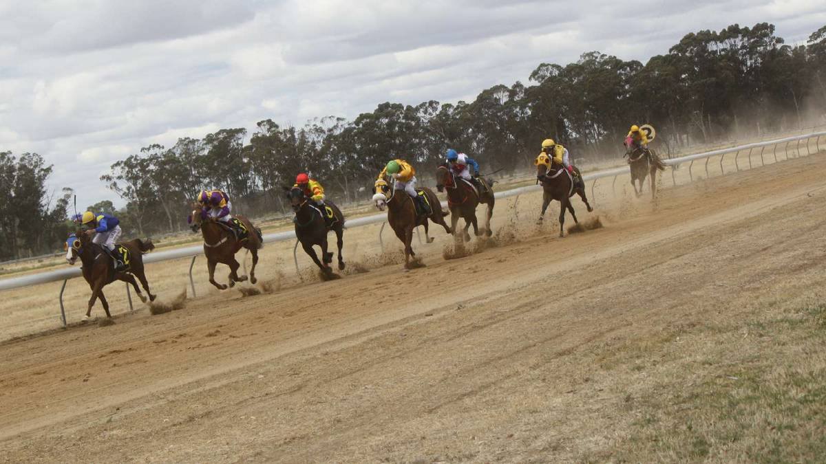 Hay Races | Visit Hay