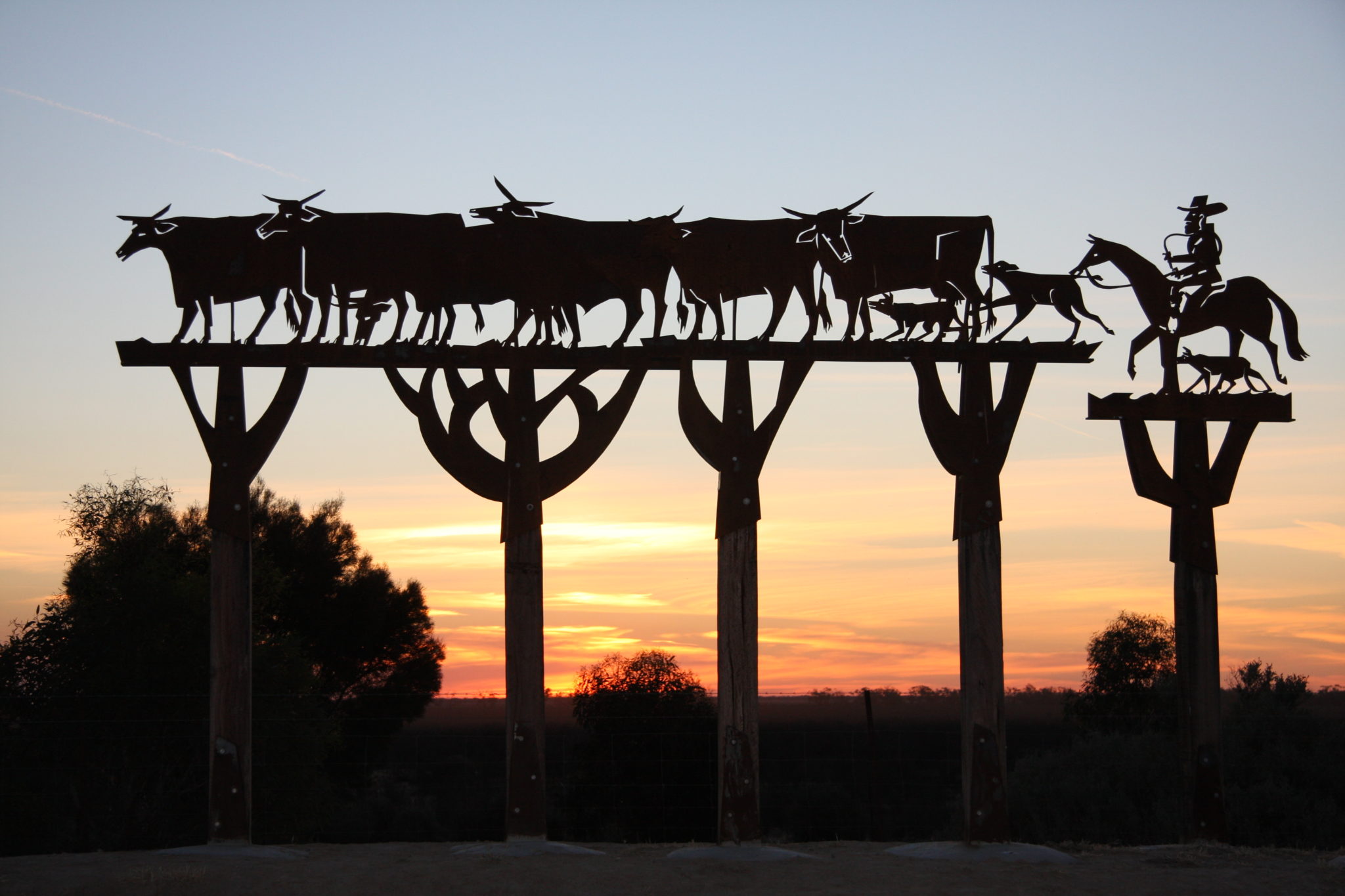 The Long Paddock | Visit Hay