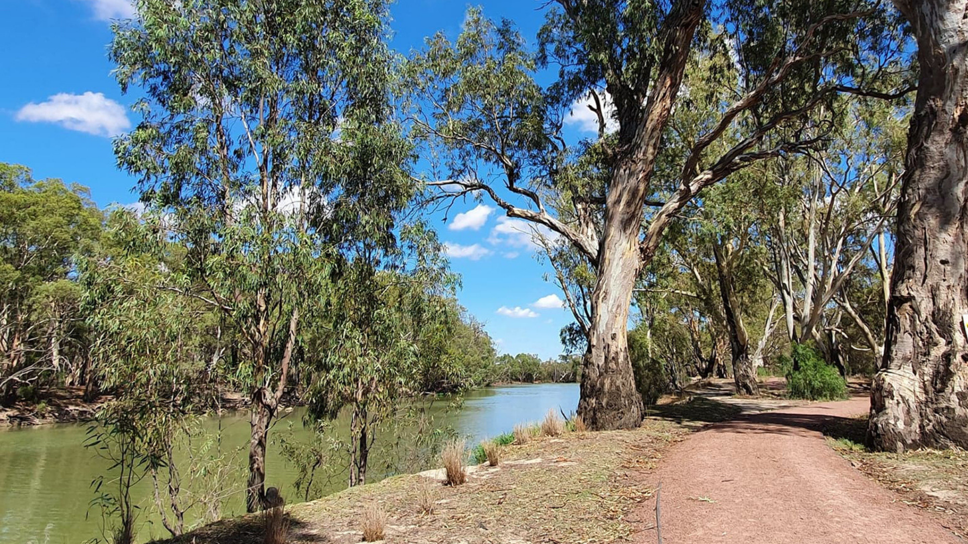 The Long Paddock | Visit Hay