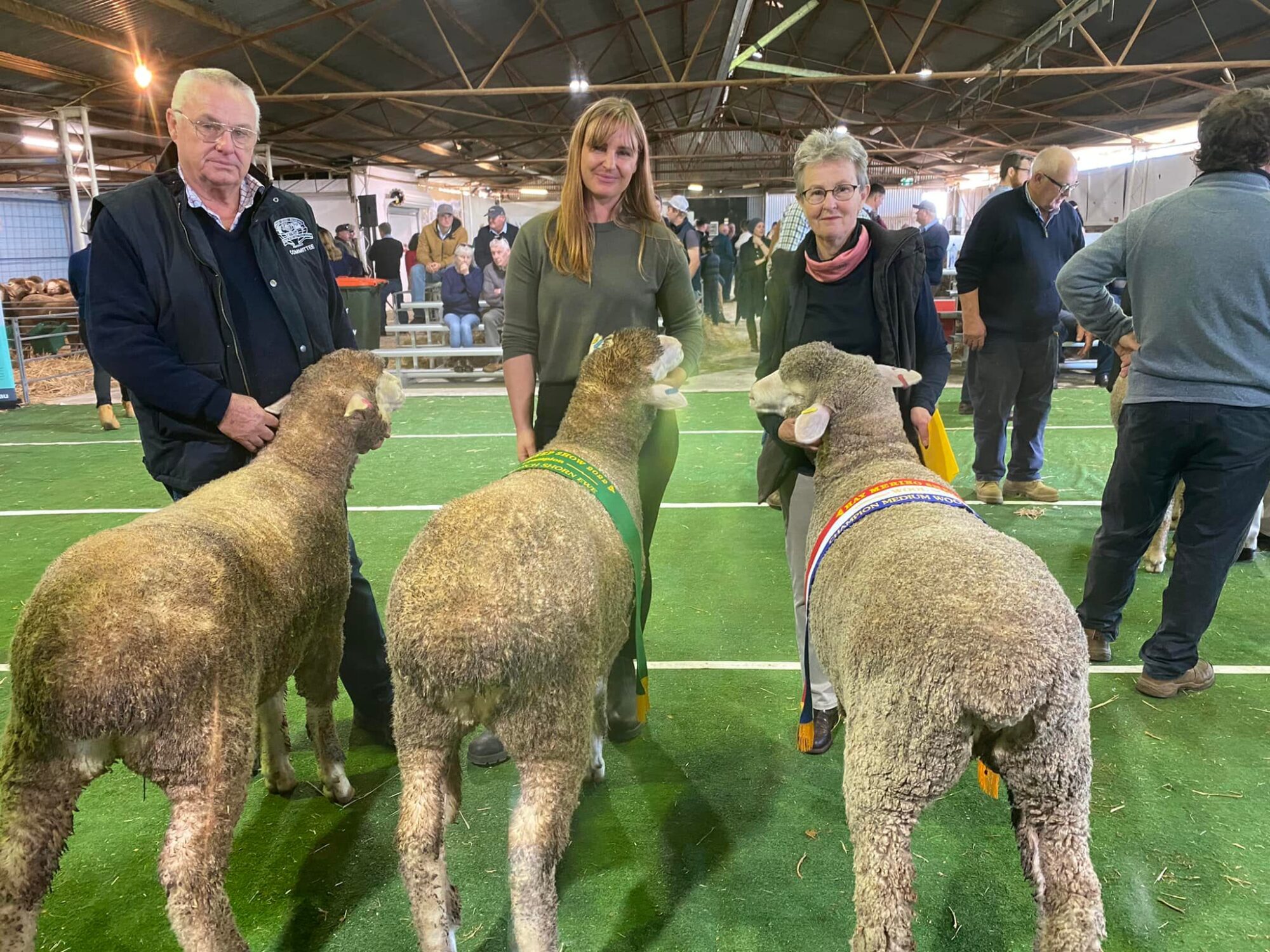 Hay Merino Sheep Show | Visit Hay