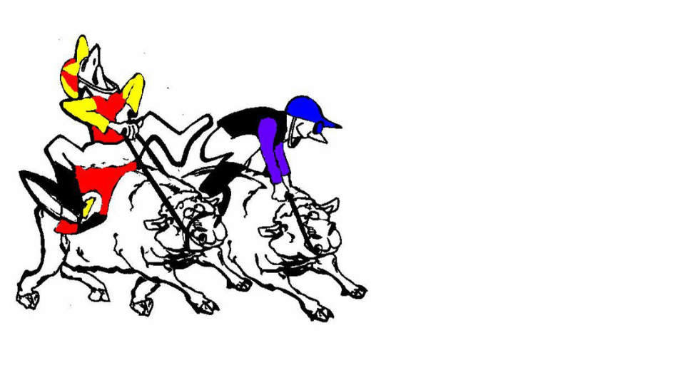 Booligal Sheep races | Visit Hay