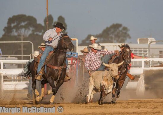 Hay PRO Rodeo | Visit Hay